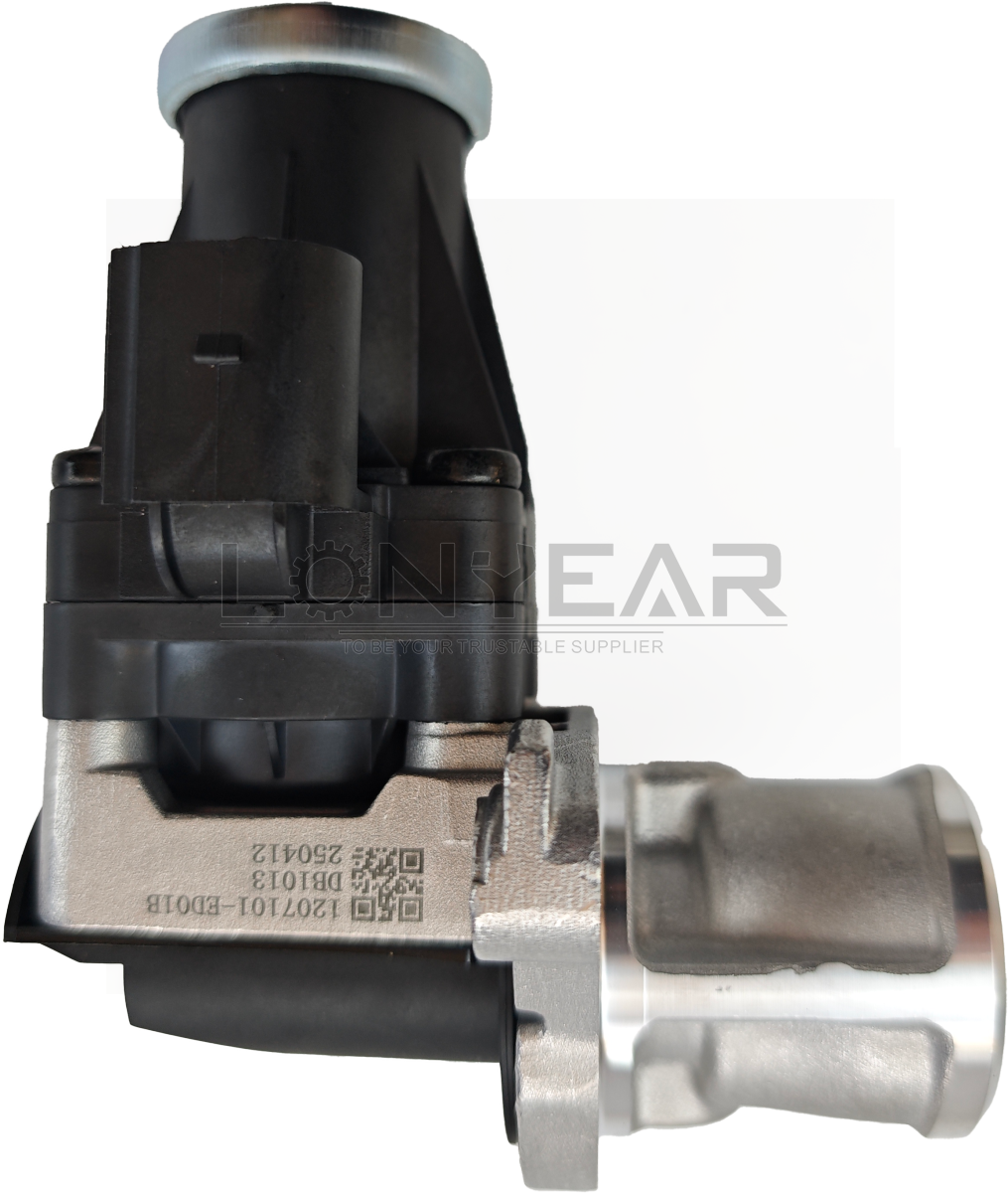 1207101-ED01B GREAT WALL WINGLE EGR VALVE