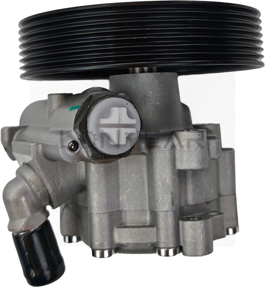 491105510R RENAULT DUSTER STEERING PUMP