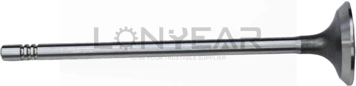 55496632 CHEVROLET TRACKER ENGINE VALVE