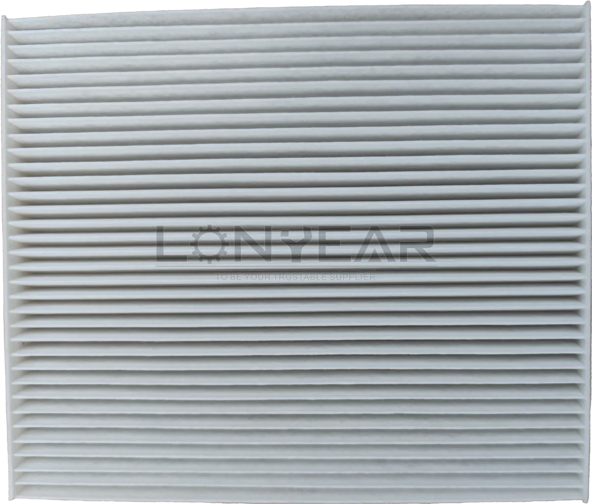 F00000364 MAXUS G10 CARBIN AIR FILTER