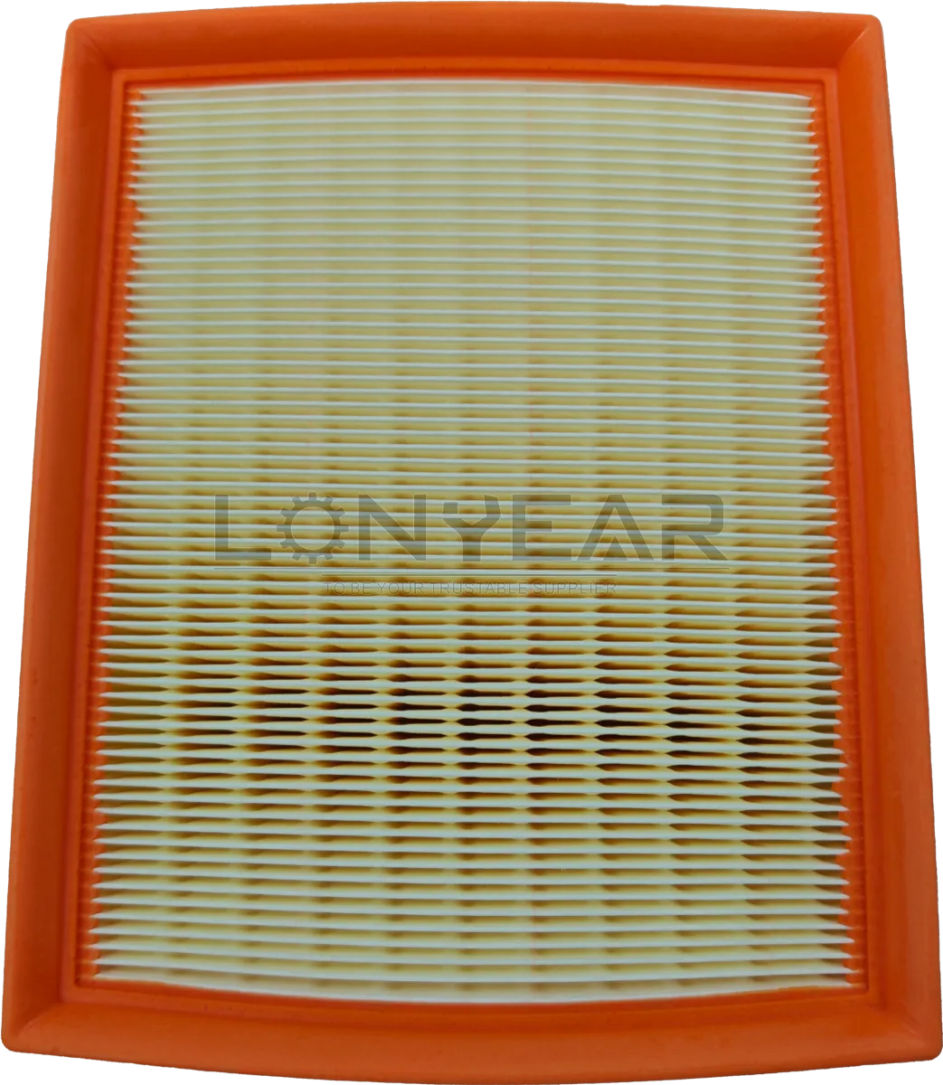 C00065836 MAXUS G10 AIR FILTER