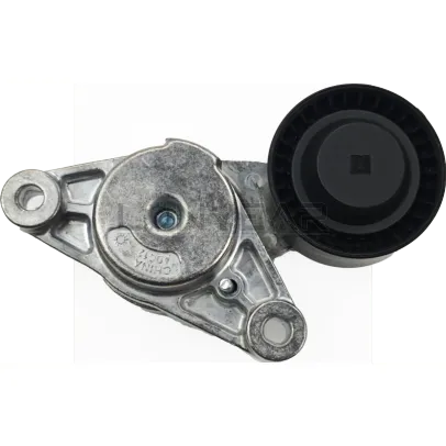NE14T004-0020 CHANGAN CS35 TENSIONER