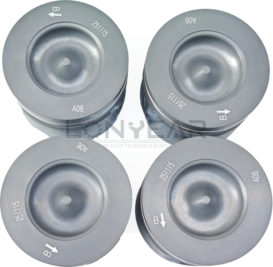 1004022FE010XZ JAC SUNRAY PISTON