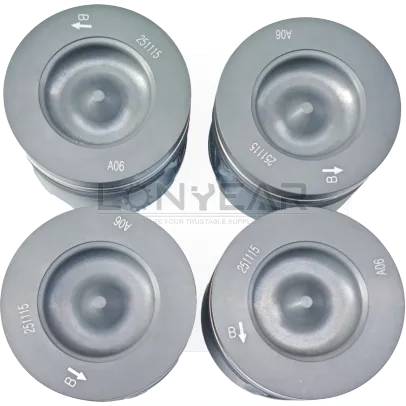 1004022FE010XZ JAC SUNRAY PISTON