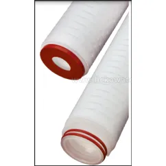 Pleated membrane filters
