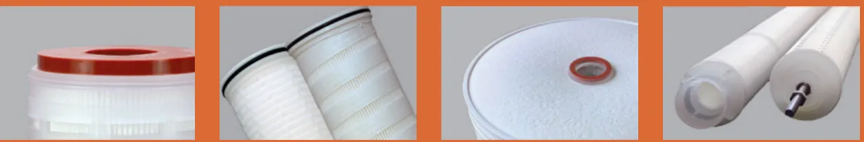 Pleated membrane filters