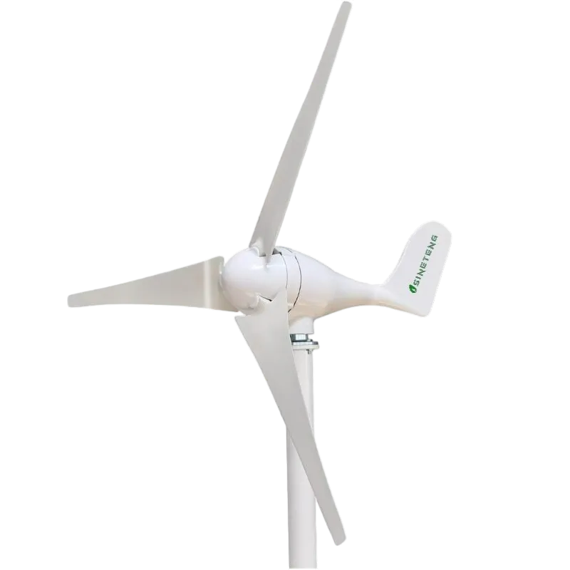 Eco-Friendly 100W Horizontal Wind Turbine Generator