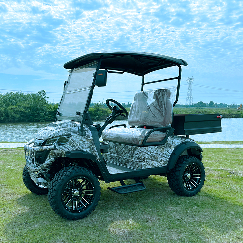 Electric Utility Vehicle (UTV)