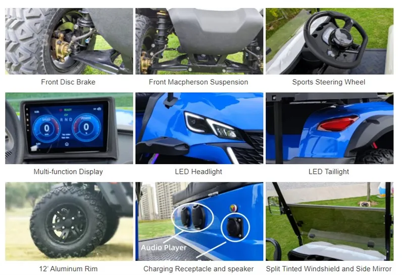 Introduction to electric golf cart