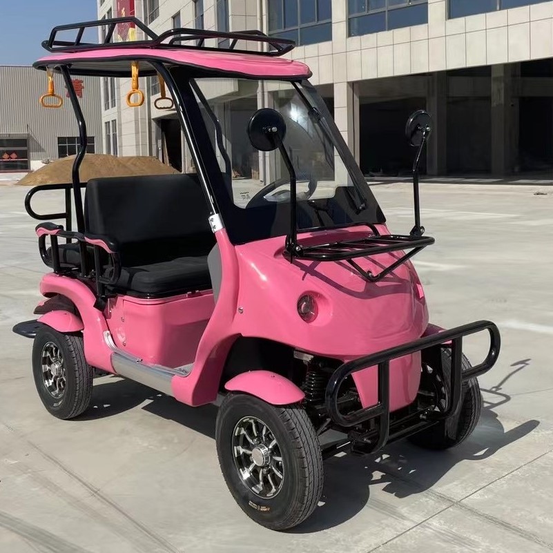 Mini 2 Seaters Electric Golf Cart，2 Seaters Electric Golf Cart
