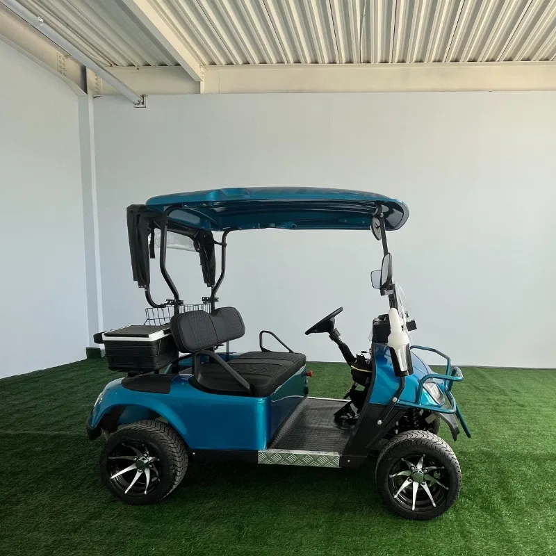 2 Seat Golf Cart,2 Seater Electric Club Golf Cart