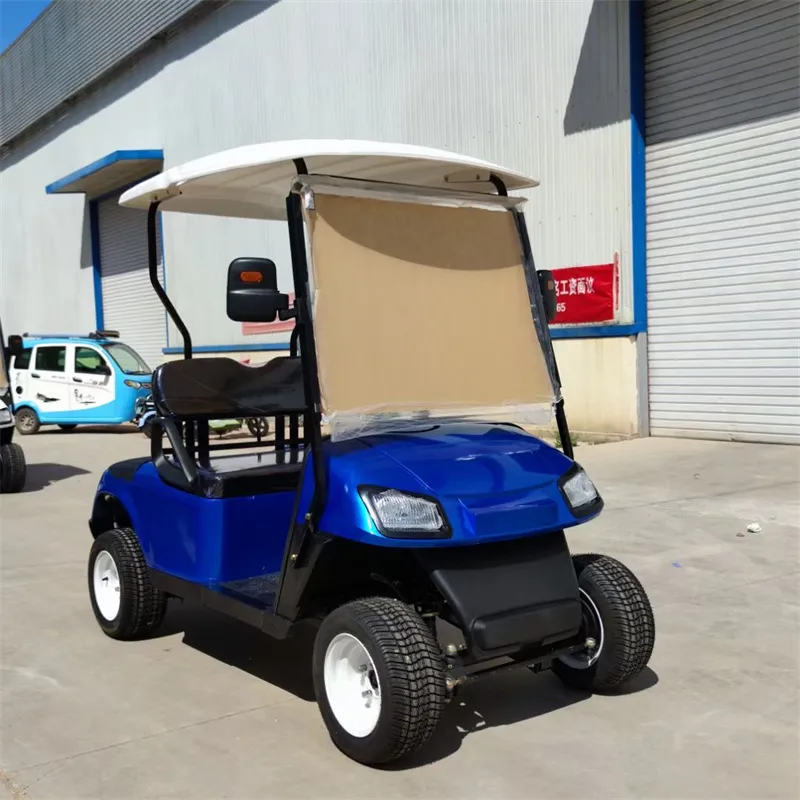 2 Seaters Electric Vehicle Golf Cart,2 person golf cart
