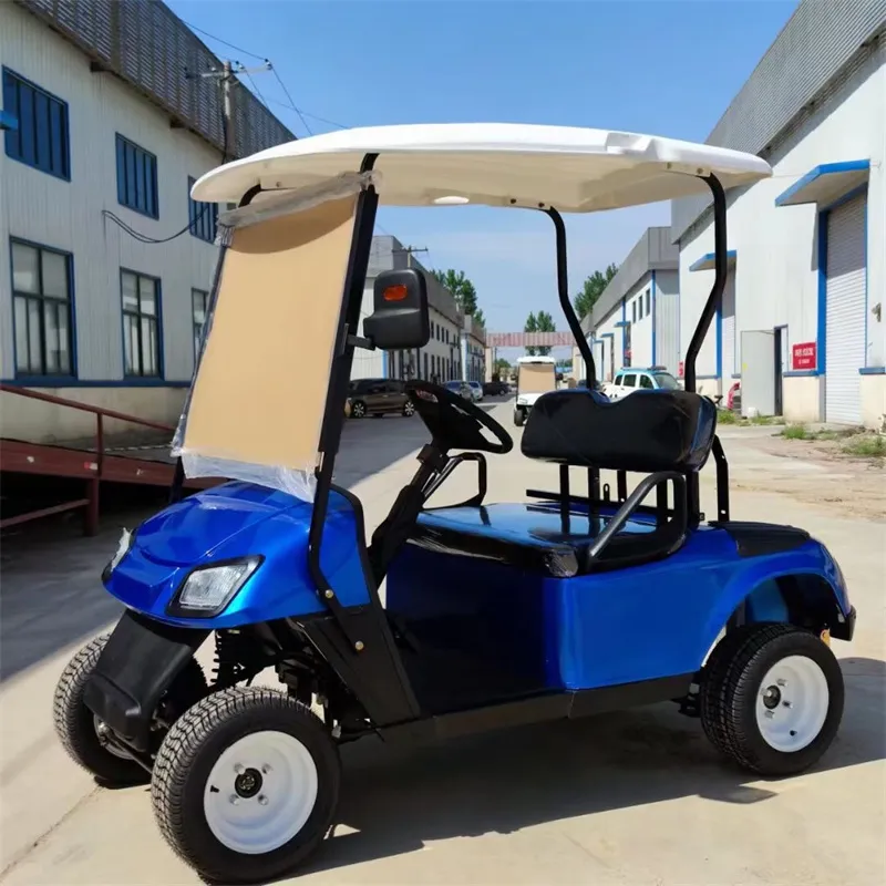 2 Seaters Electric Vehicle Golf Cart,2 person golf cart