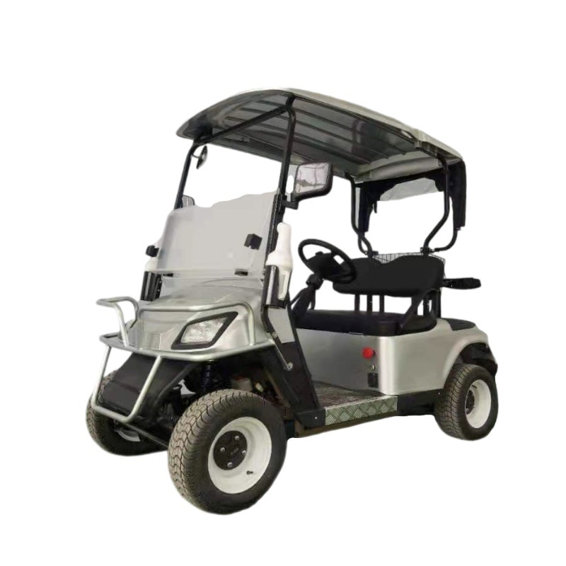 2 Seaters Mini Electric Golf Cart,2 person golf cart