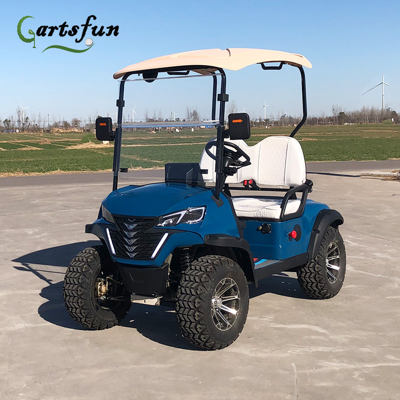 2 Passenger Electric Golf Vehicle, 2 Person Golf Cart