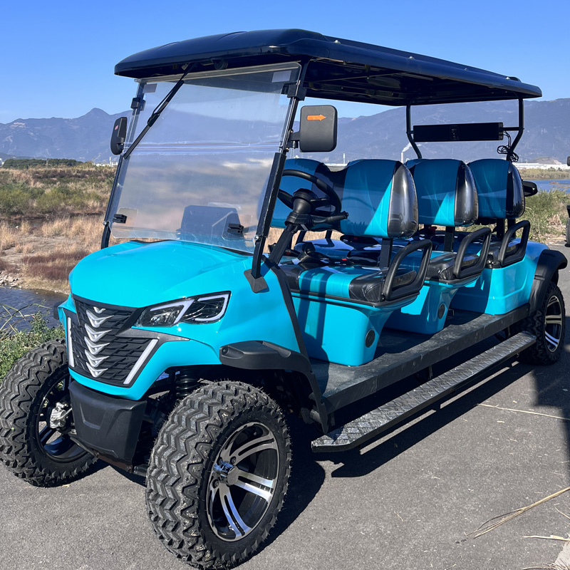 Gas Powered 6 Seater Golf Cart