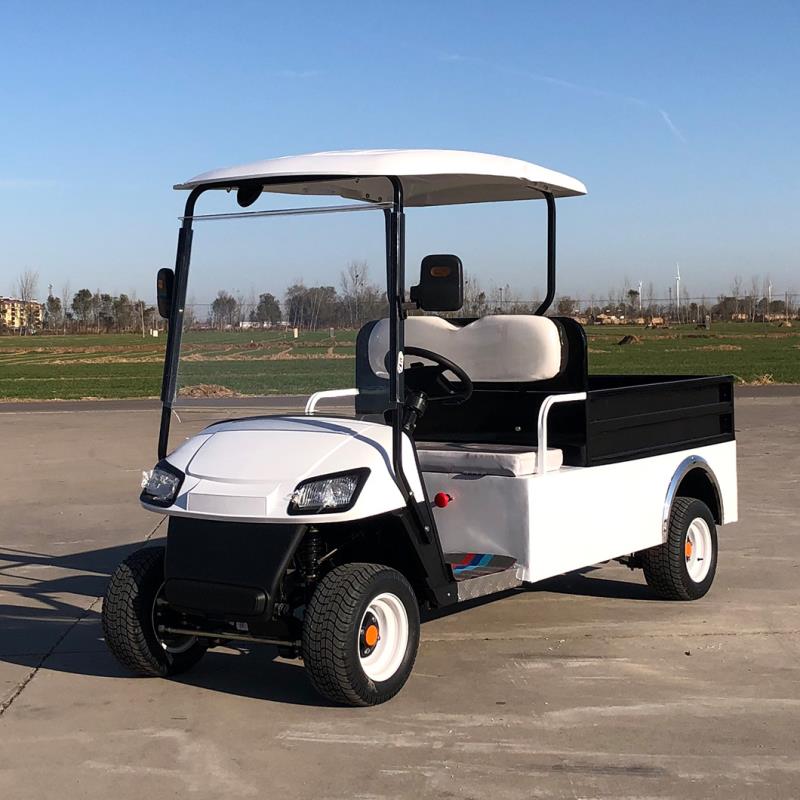Electric Golf Cart Supplier, Custom 2 Passenger Golf Cart