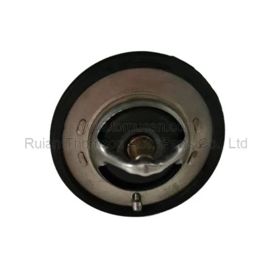 1305A221 Mitsubishi thermostat