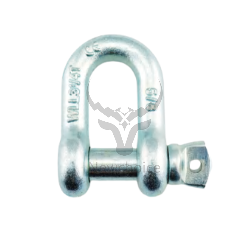 US Type Dee Shackle
