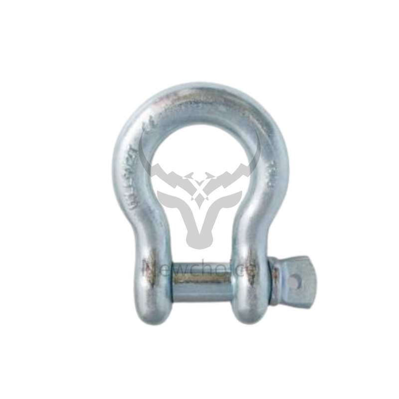 US Type Bow Shackle