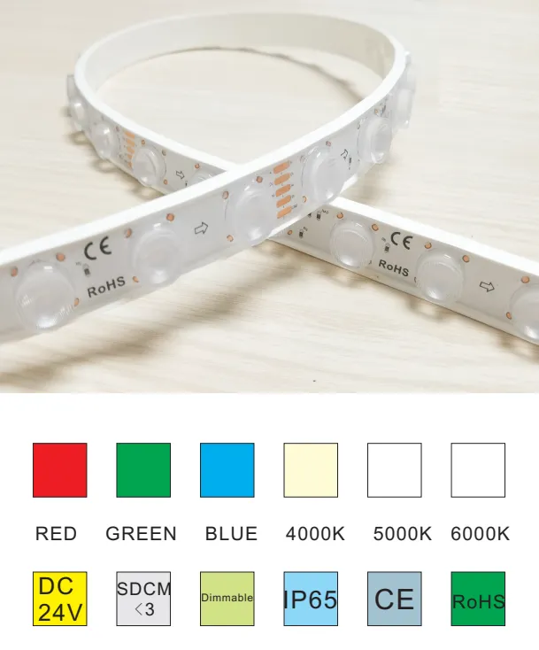 Flexible Wall Washer With Lens | Blue Diamond Lighting