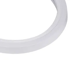 LED Neon Flex Strip - Flexible Light Strips | Blue Diamond Lighting