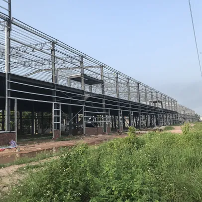 Customized Steel Structure Workshop