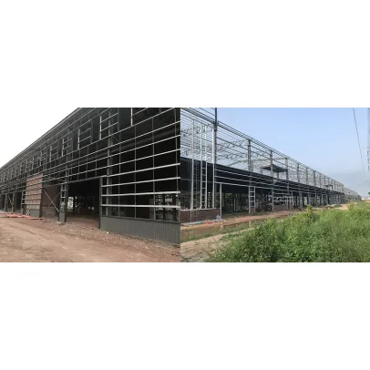 Customized Steel Structure Workshop