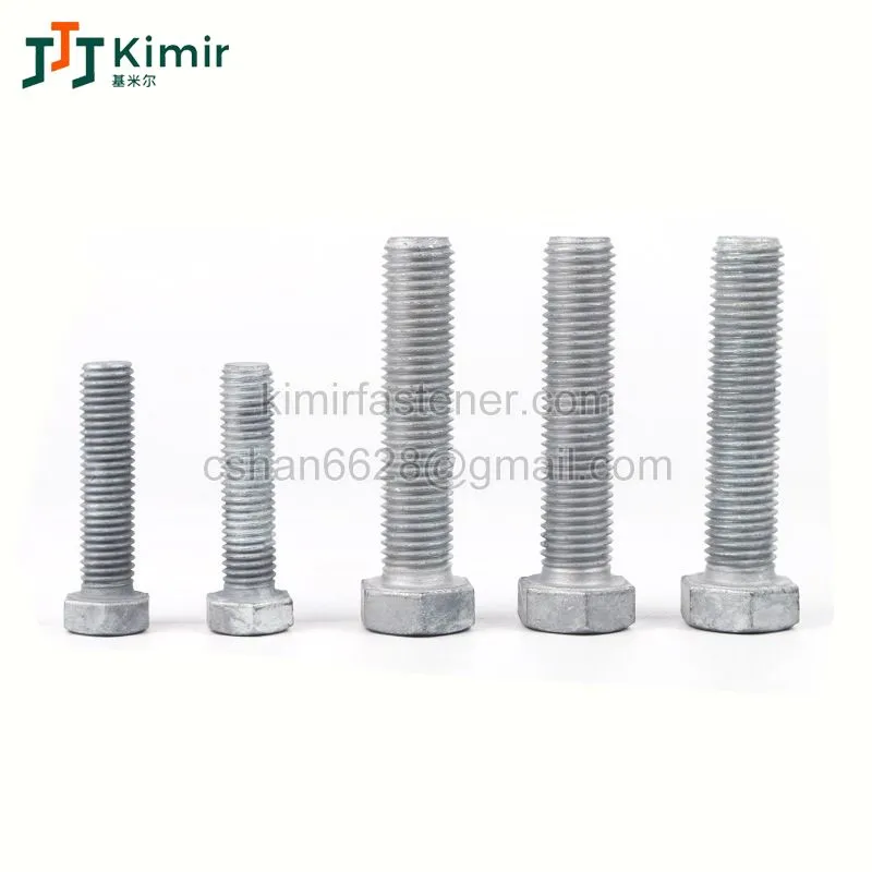 Hot dip galvanized bolt,galvanized bolts