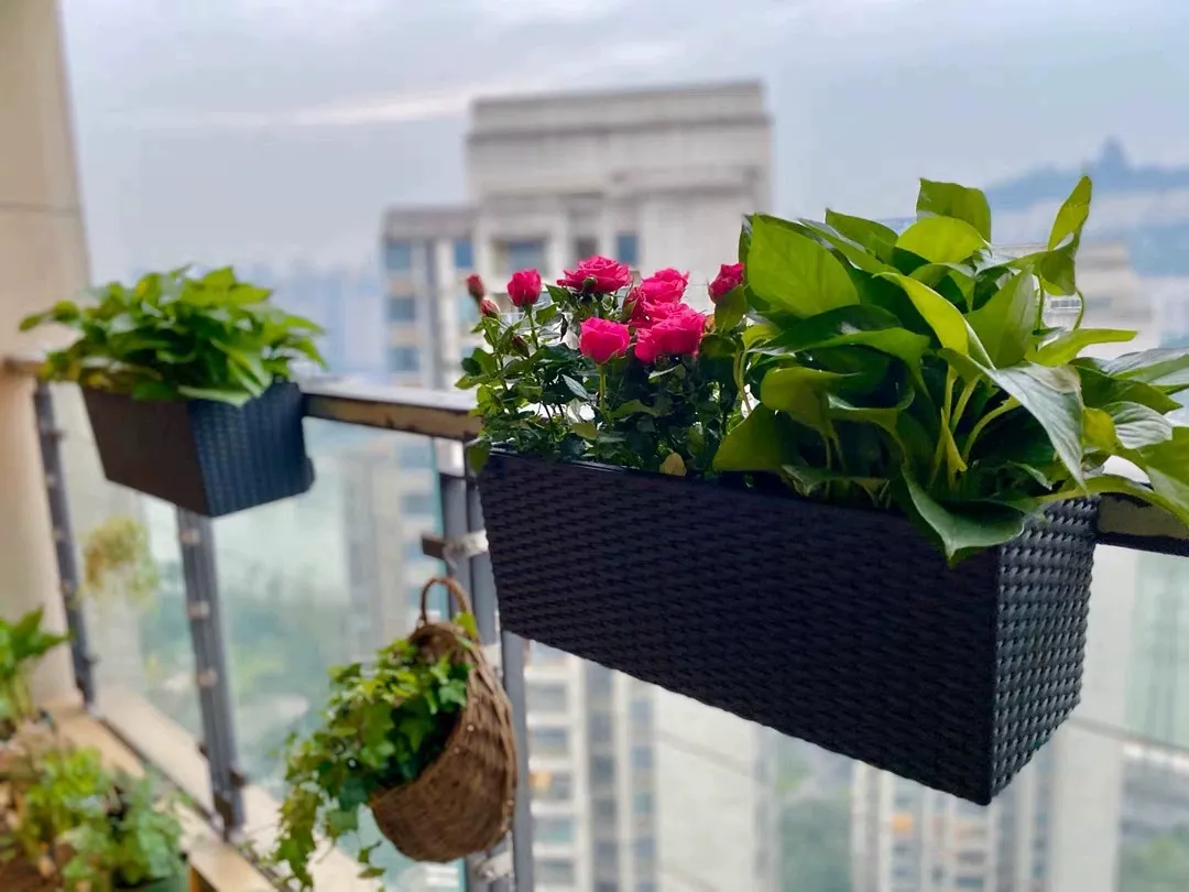 Enhance Efficiency and Versatility with Round Head Nails: A ...