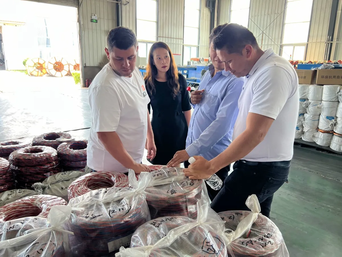 Colombian customers come to visit our factory