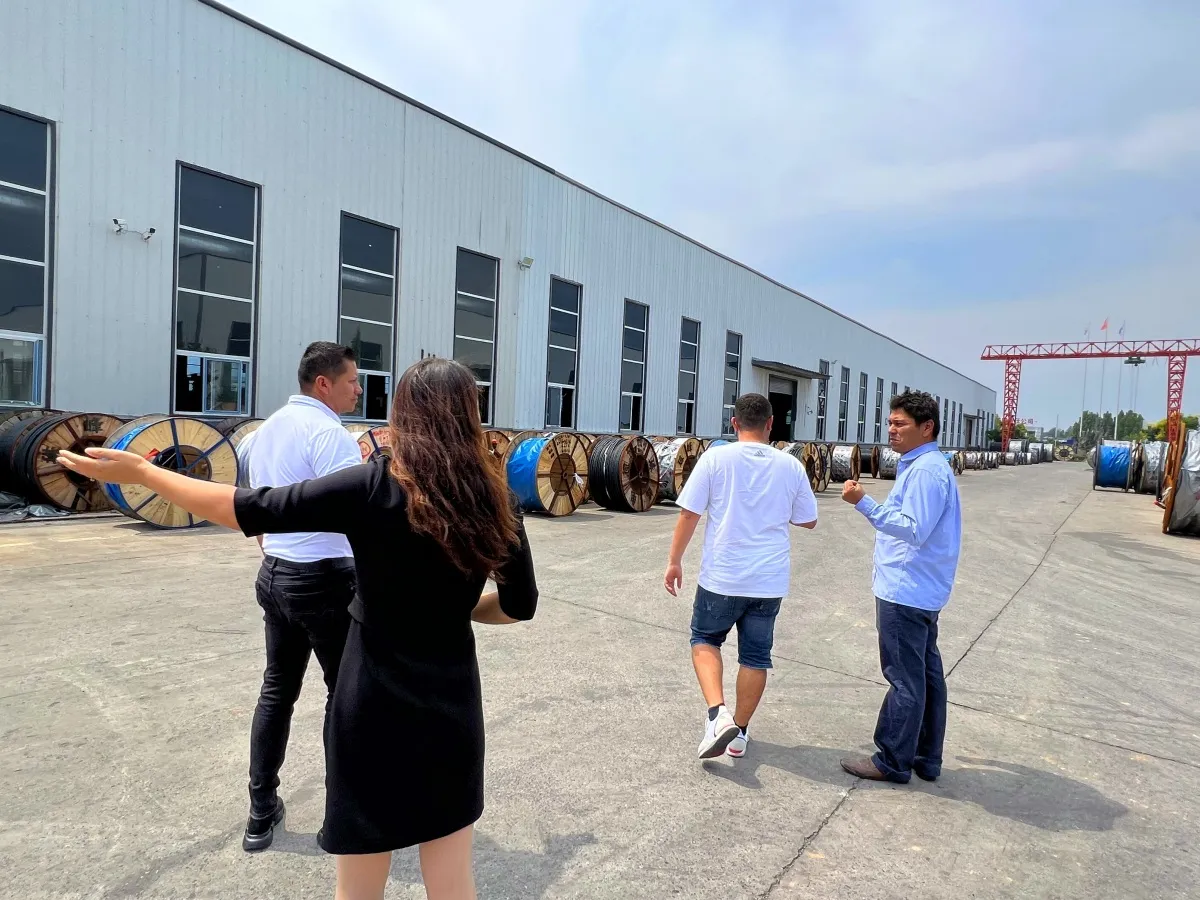 Colombian customers come to visit our factory
