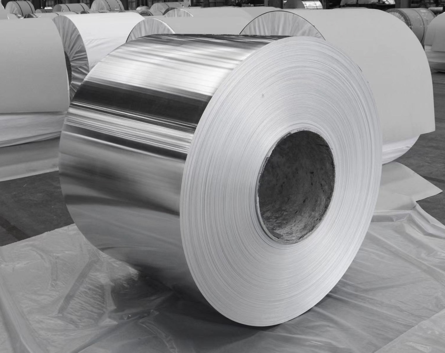 Premium Rolled Steel Sheets & Coils