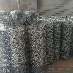 Hexagonal wire netting