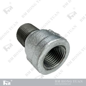 Galvanized F/M Socket