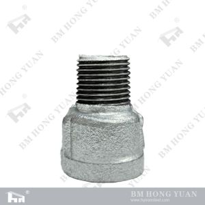 Galvanized F/M Socket