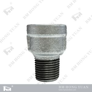 Galvanized F/M Socket