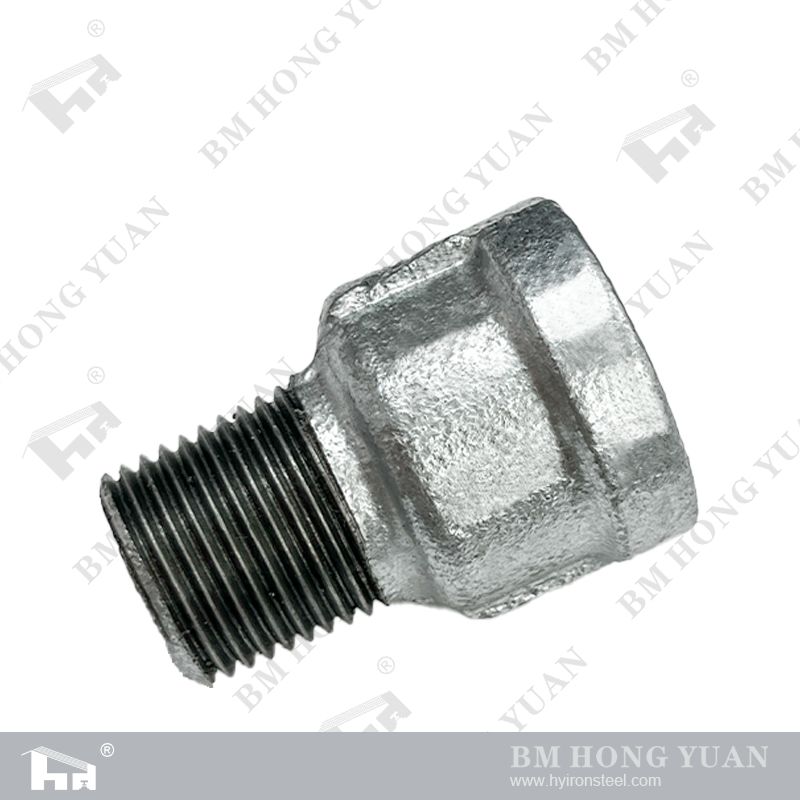 Galvanized F/M Socket