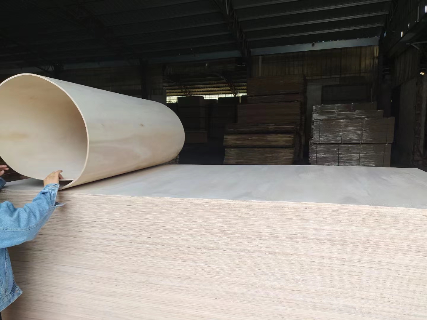 bendable plywood,flexible plywood,bendy plywood,curved plywood,bendy ply