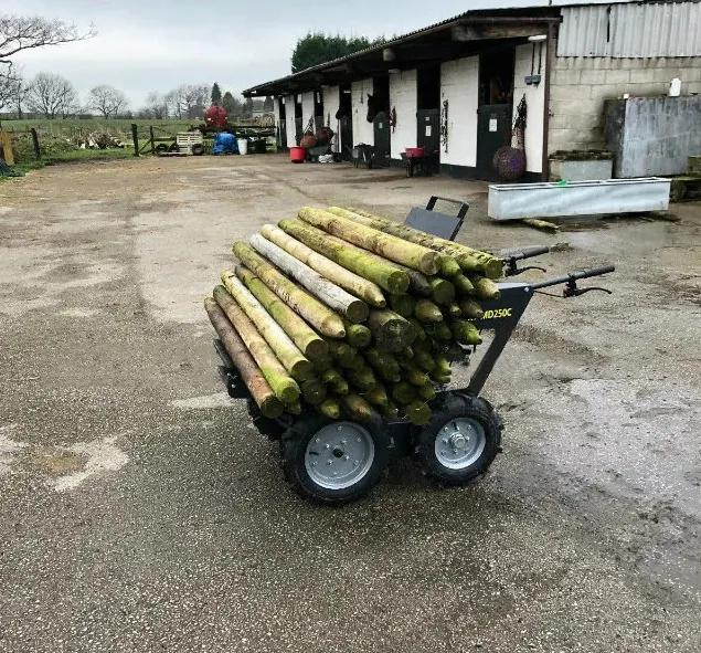 Mini Dumper with 250kg Loading for Building Construction Use