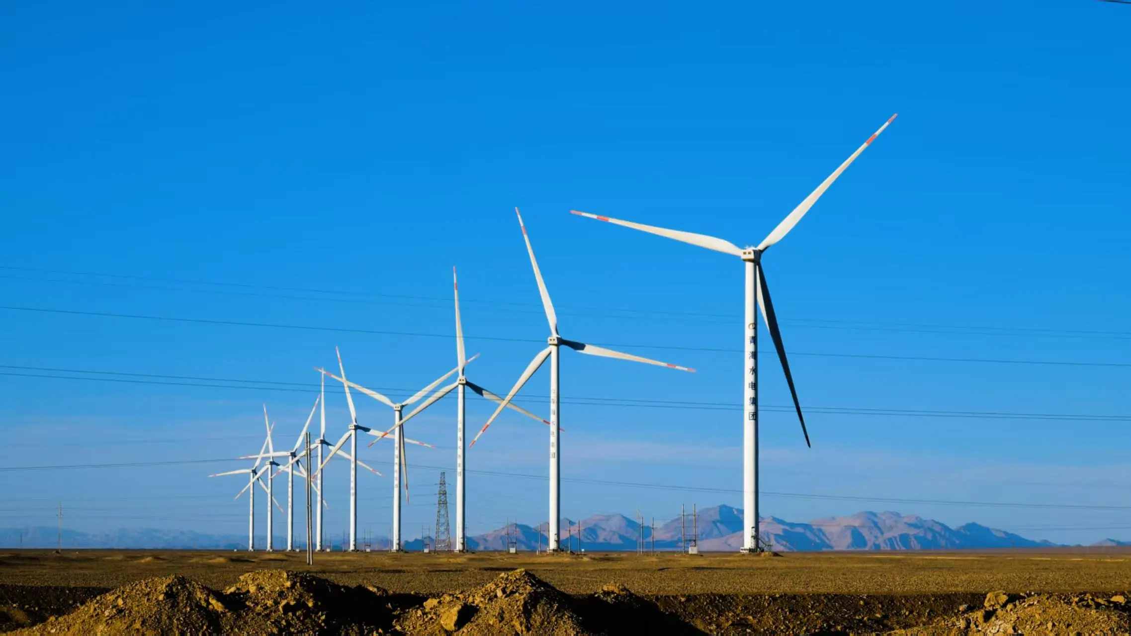 Qingdao Grace International Trade Company Actively Participates in Wind ...