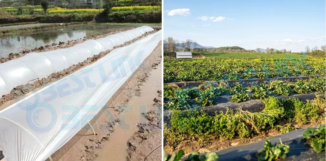 plastic mulch rolls,plastic mulch film,biodegradable mulch film