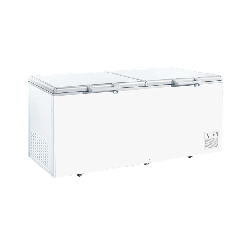 708L 2-Door Chest Freezer - Ideal Storage Solution