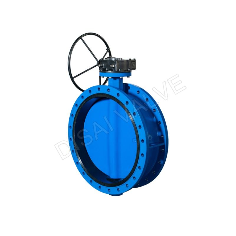Double Flange Concentric Butterfly Valve - Disai Valve