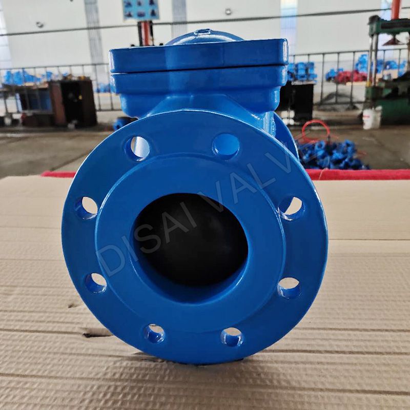 Ball Type Check Valve, Ductile iron Flanged Ball Check Valve - Disai Valve
