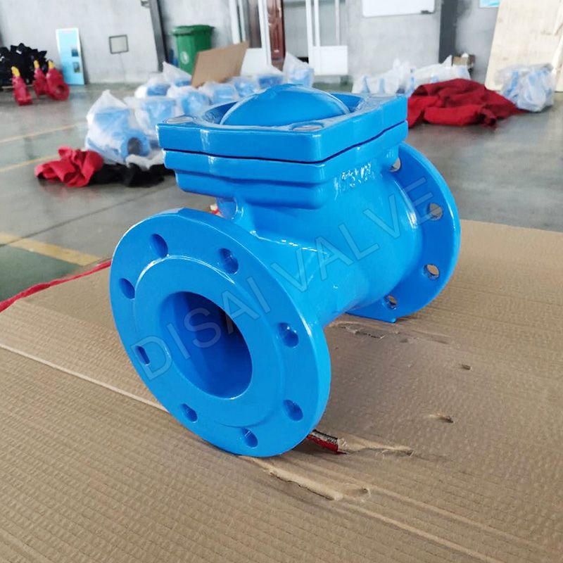Ball Type Check Valve, Ductile iron Flanged Ball Check Valve - Disai Valve