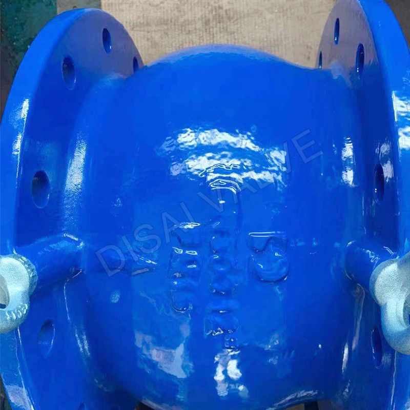 Nozzle Non Slam Check Valve - Disai Valve