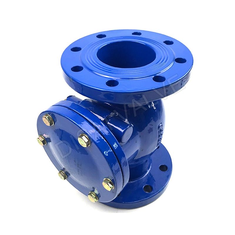 Swing Check Valves | Disai Valve