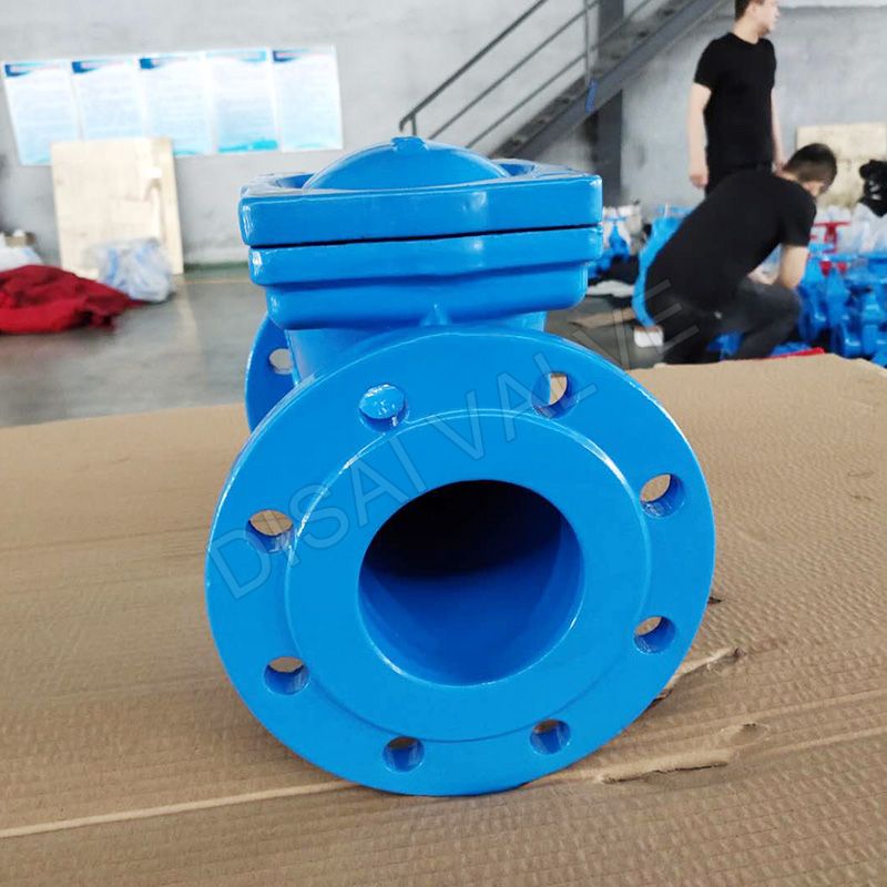 Ball Type Check Valve, Ductile iron Flanged Ball Check Valve - Disai Valve