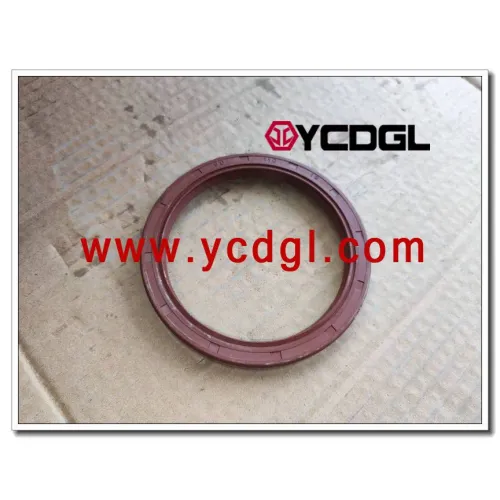 Oil seal FDR9011012,FSR9011012 for HOWO